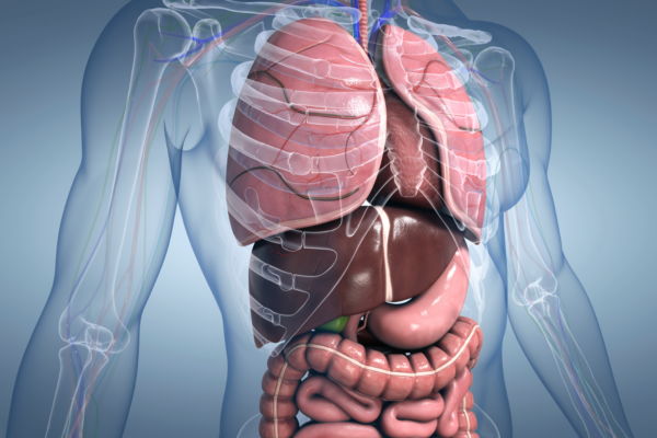 What is Ligma Disease: Things to Know About Causes & Treatment